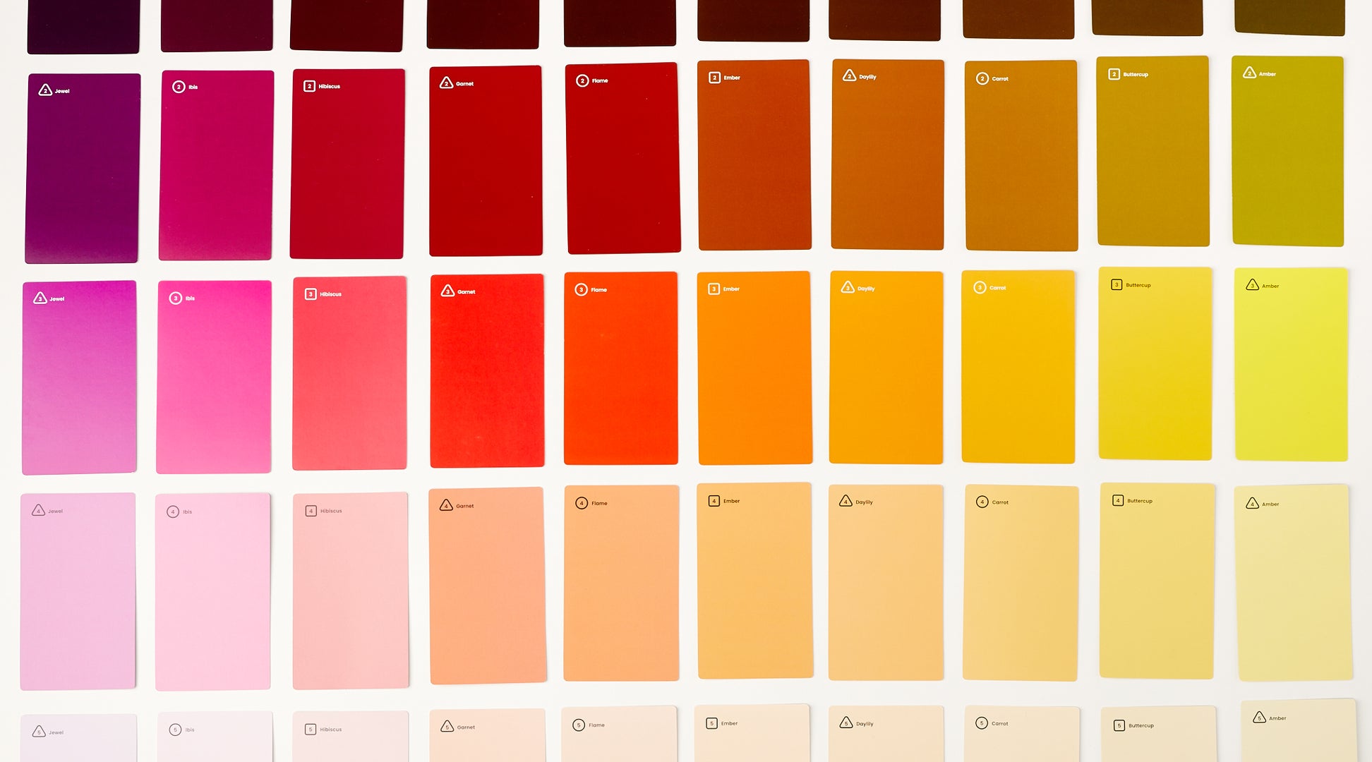 Palette scout – Zollie